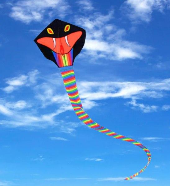 15m Snake Kite | Cobra kite - TikTok Shop Singapore
