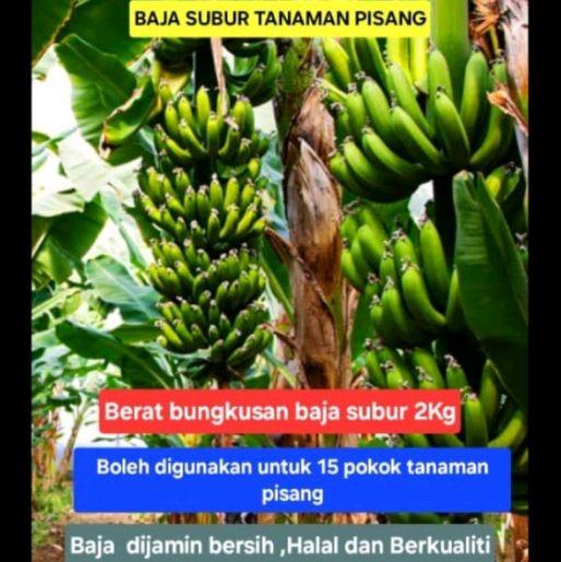 BAJA SPESIAL PENYUBURAN TANAH DAN TANAMAN POKOK PISANG - TikTok Shop ...