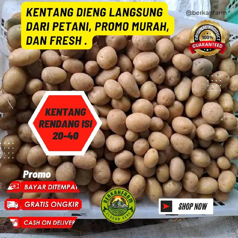 1 kg kentang dieng mini kecil isi melimpah - Shop | Tokopedia