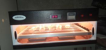SUBATECH Mesin Tetas Telur Full Otomatis Kap. 50 Rak Roller Penetas ...
