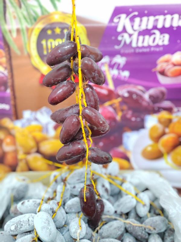Kurma Muda Sejuk Frozen ( Fresh Frozen Dates) Buah Food Snacks - TikTok ...