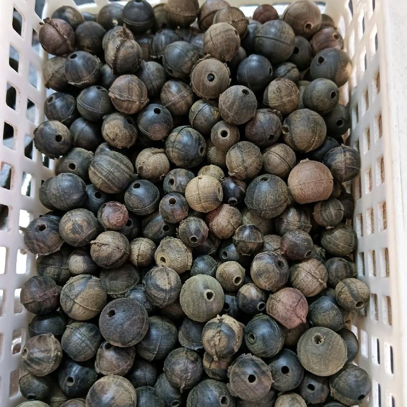 Gelang biji kayu cantik molek - TikTok Shop Malaysia