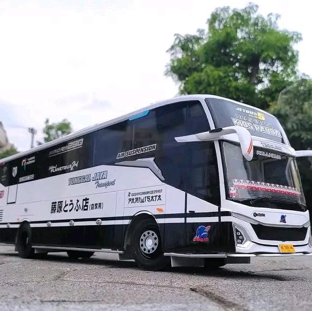 Mainan Miniatur Bus STJ Kids Panda JB3 dengan Variasi Lampu LED 3MODE ...