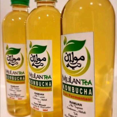 Mulan Tea Kambucha (Tea Fermented) Minuman Kesihatan - TikTok Shop Malaysia