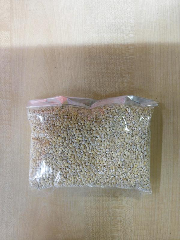 BIJI BARLI / BARLEY PERAL 500G - TikTok Shop Malaysia