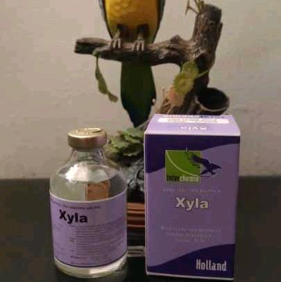 Jual Xylazine 50 ml Asli Original Obat Anestesi Pada Hewan XYLA 100% ...