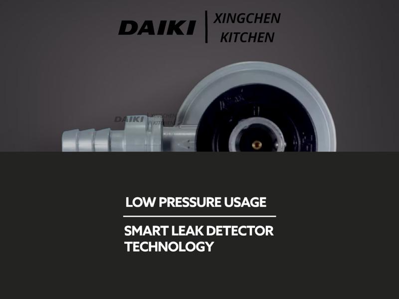 TPA Gasul Regulator Auto Shut-off Device Low Pressure DE-SALPAK/ SNAP ...