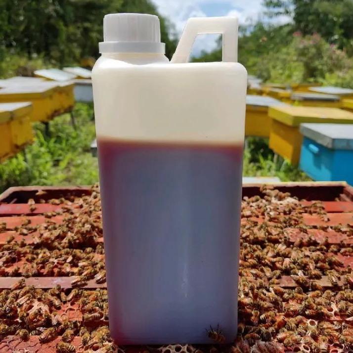 MADU ASLI RIAU DARI HUTAN RIAU AKASIA MADU HUTAN SUMATERA Honey - Shop ...