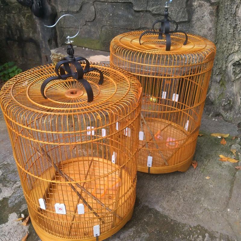 sangkar burung murai batu - Shop | Tokopedia