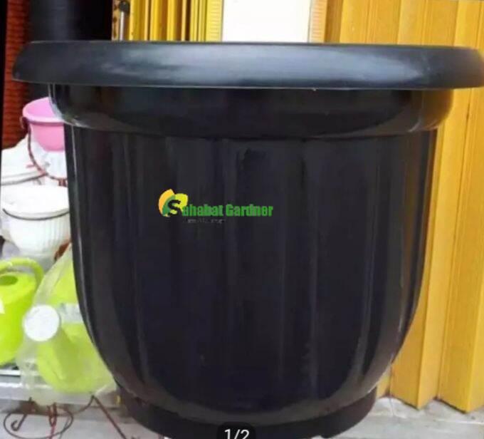 pot hitam eboni ukuran 50 cm/pot tanaman Gloria ukuran 50 - Shop ...