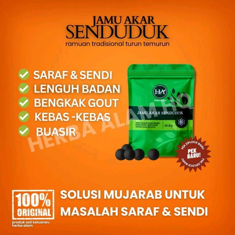 Jamu Akar Senduduk - Offical Shop - HQ Herba Alam oil - TikTok Shop ...