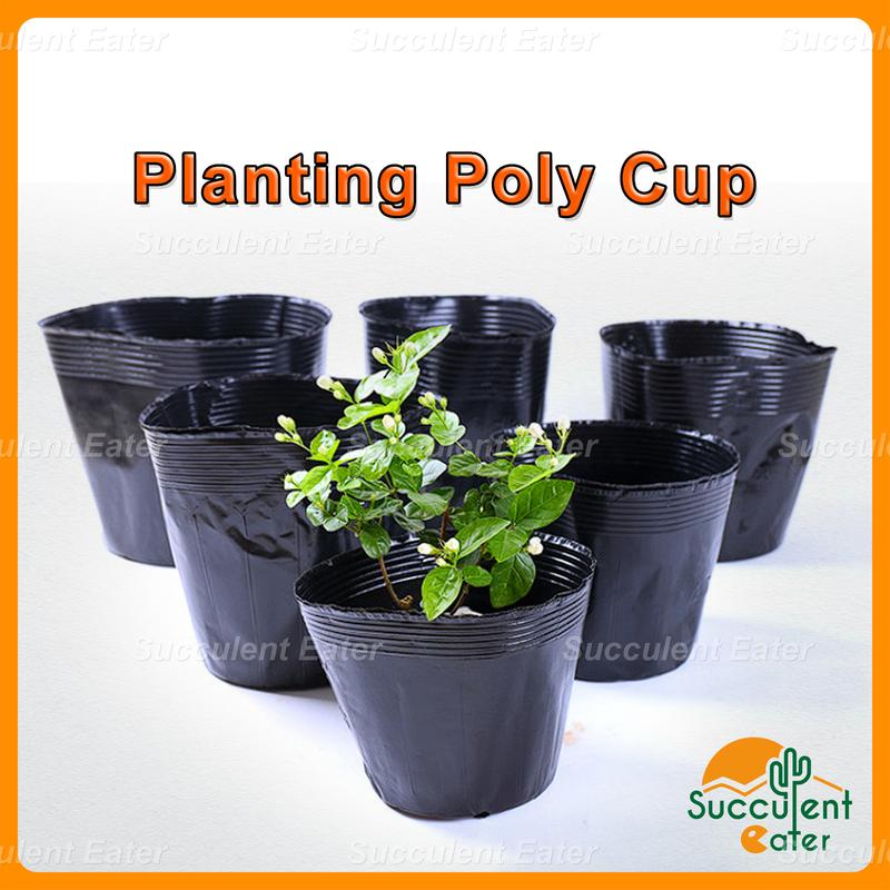 Polycup Pasu Bunga Polybag Plastik Murah Pasu Bunga Plastic Flower ...