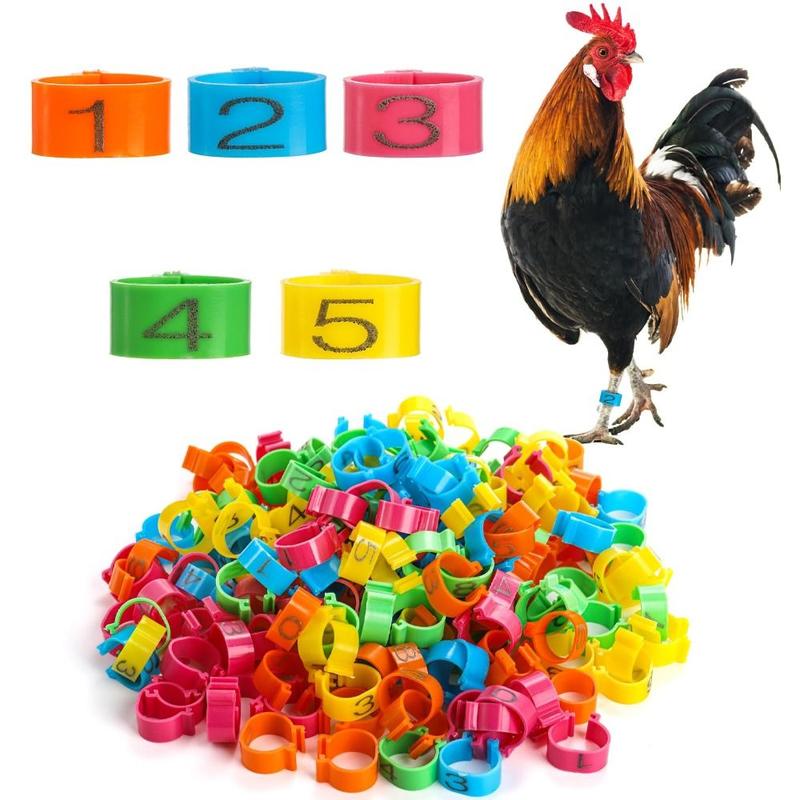 100Pcs Farm Feed Tool with 001-100 Numbered Adjustable Chicken - TikTok ...