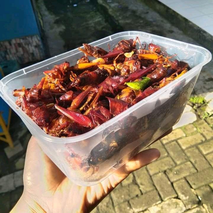 BELALANG KAYU GORENG BERAT 200g - Shop | Tokopedia