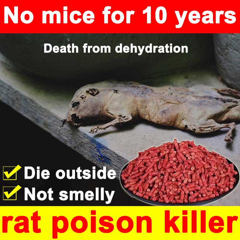 【No effect full refund】 rat poison killer racun tikus paling kuat ubat ...