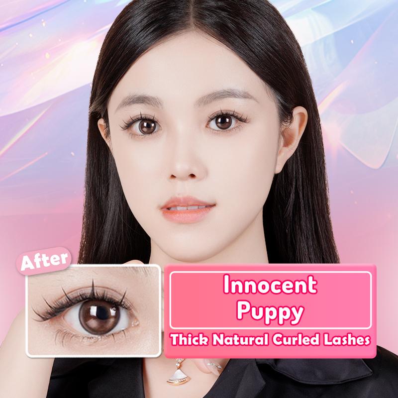 [COD] Innocent Puppy Eye (Medium) BULUMATA TANPA LEM MAGIC BOX - Shop ...