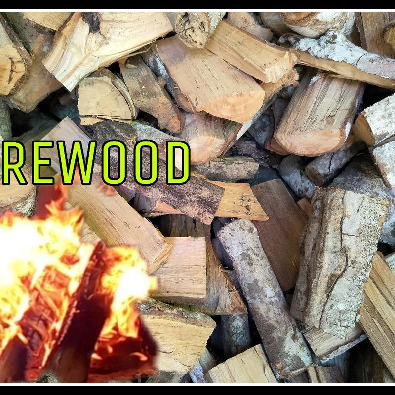 Kayu Api Campsite Firewoods 5Kg untuk Aktiviti Kem Perkhemahan - TikTok ...