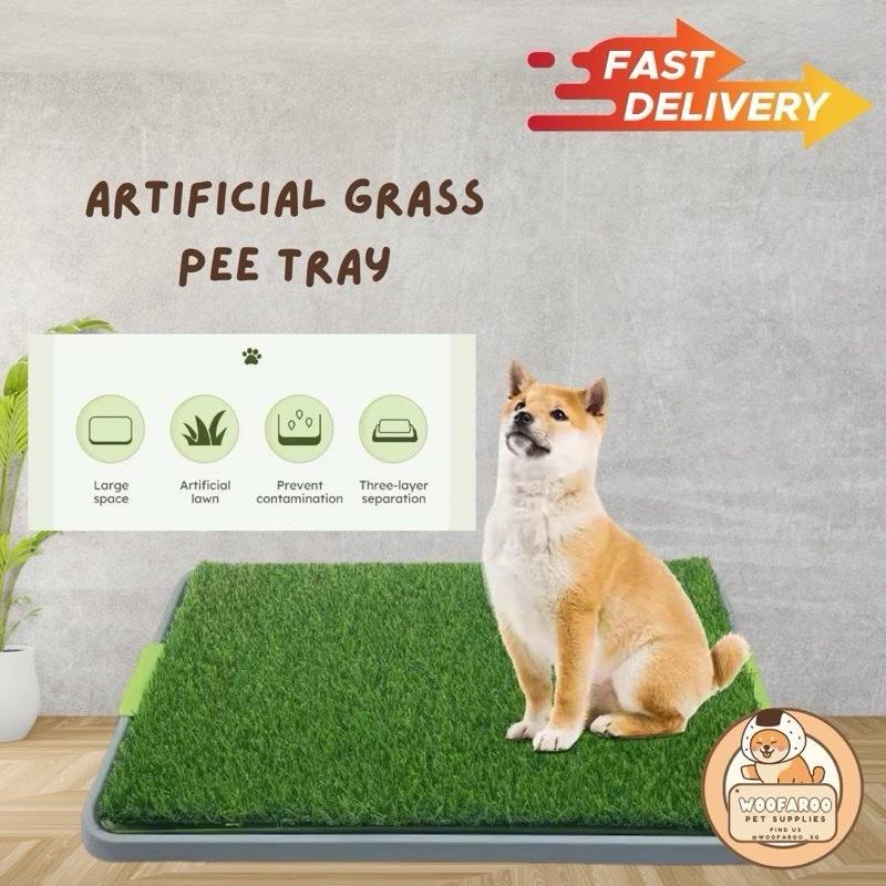 [SG]Simulation Indoor toilet grass patch pee tray for pets - TikTok ...