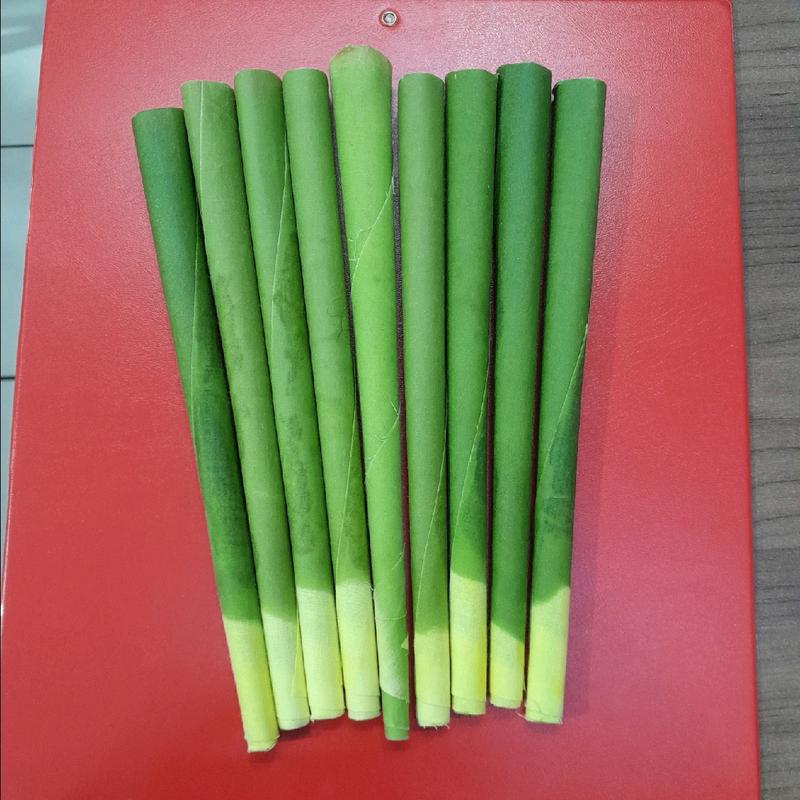 Corong Resdung Herba 9btg (lilin Resdung) - TikTok Shop Malaysia