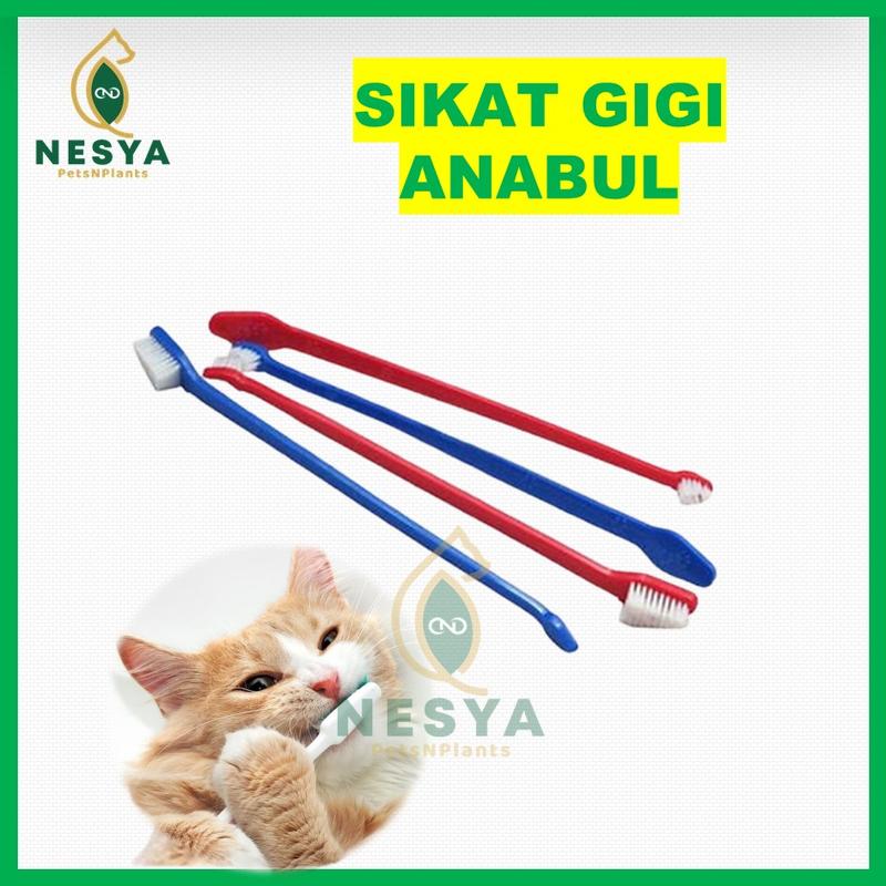 Sikat Gigi Kucing & Anjing Pet Grooming Tooth Brush - Shop | Tokopedia