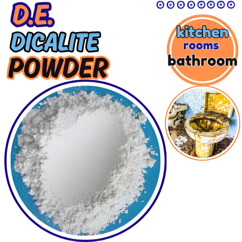 DragonWare 1kilo DICALITE DE POWDER pool filter cleaner pest - TikTok ...