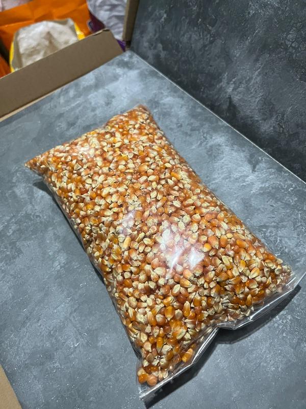 Jagung / Pakan burung merpati / 1 kg / Pakan burung - Shop | Tokopedia