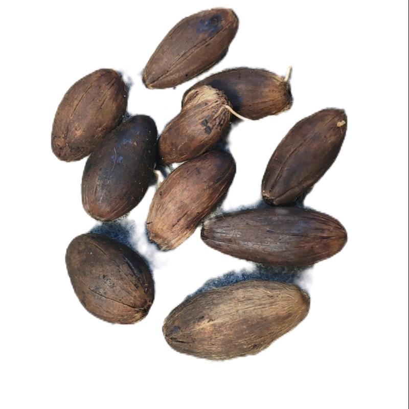 kalahating kilo beatle nut, buwa. bunga nga nga galing kalingga ...