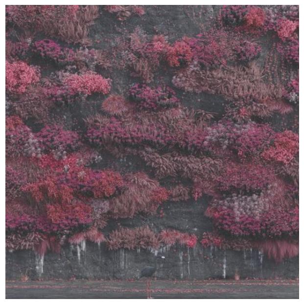 Jual PIRINGAN HITAM / VINYL SLEEP TOKEN - EVEN IN ARCADIA (2LP,BLCK ...