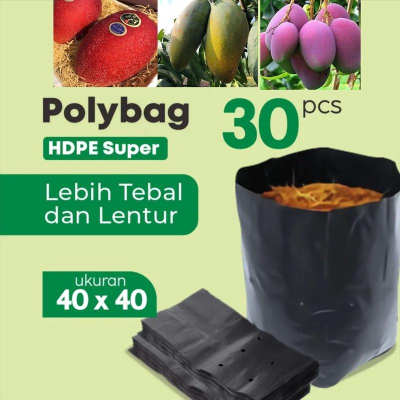 Polybag Tanaman MANGGA - Model Terbaru - Shop | Tokopedia