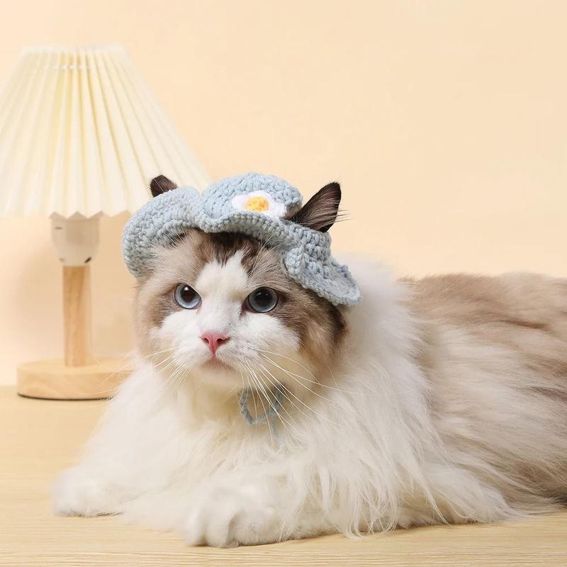 Autumn Winter Cute Cat Hat Elastic Refined Kittens Knitted Hat - TikTok ...