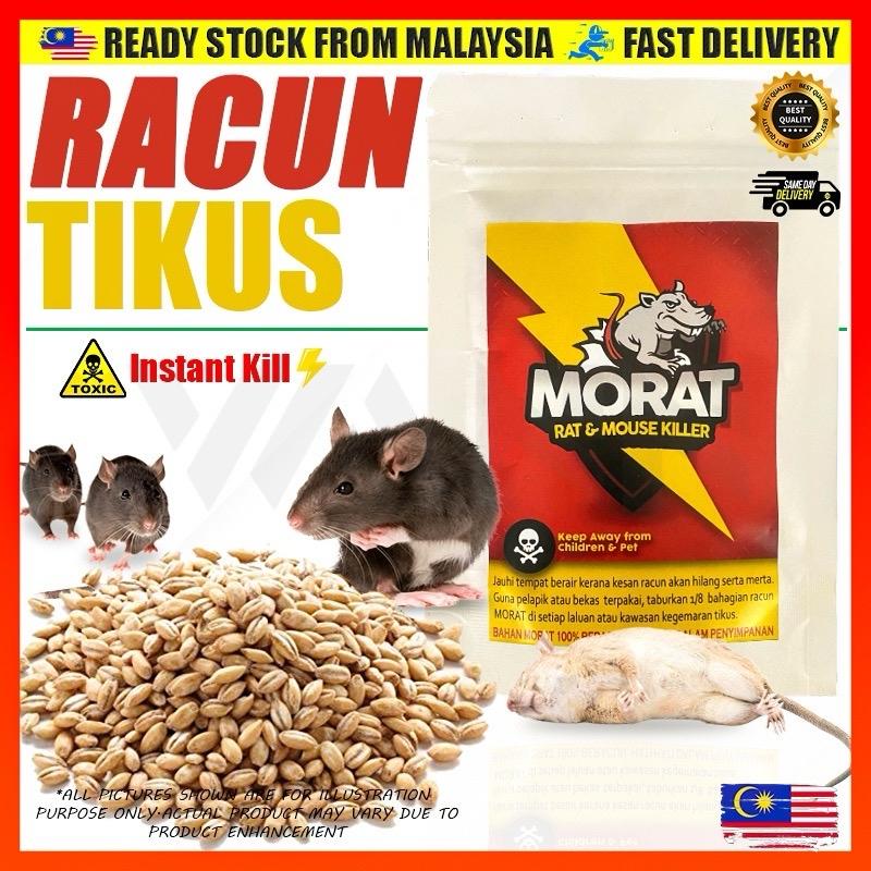 MORAT mudah pakai rat killer tikus mati beramai ramai berjemaah ...