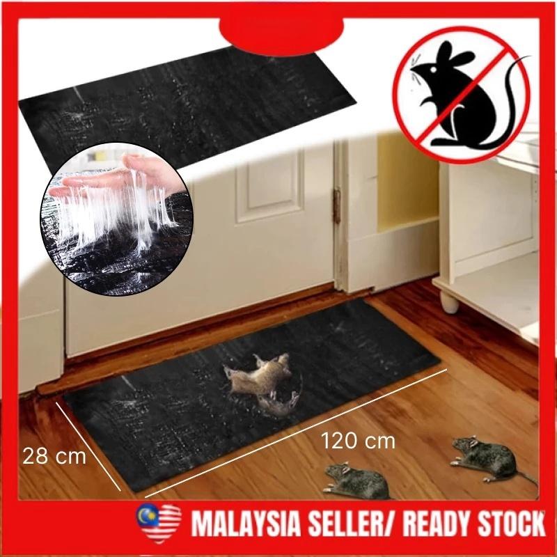 【Ready Stock】120 x 28cm Perangkap Tikus Mouse Trap Sticky Ra - TikTok ...