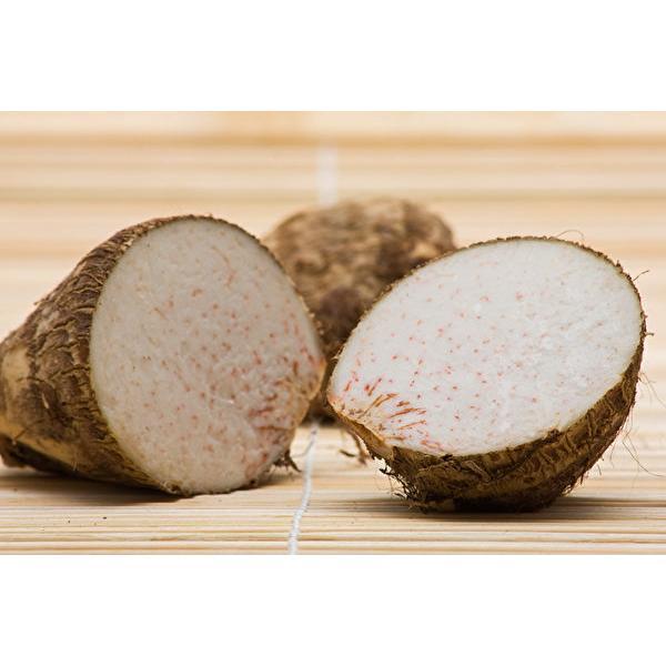 Yam Emulco - 40G | Warna and perisa ubi Cooking Makanan - TikTok Shop ...