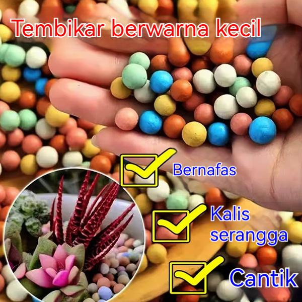 bawah pasu bunga tanah liat berwarna bunga berair tumbuh nutrien tanah ...