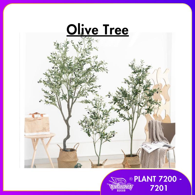 ARTIFICIAL OLIVE TREE / SIMULATION OLIVE BRANCH / SIMULASI POKOK ...