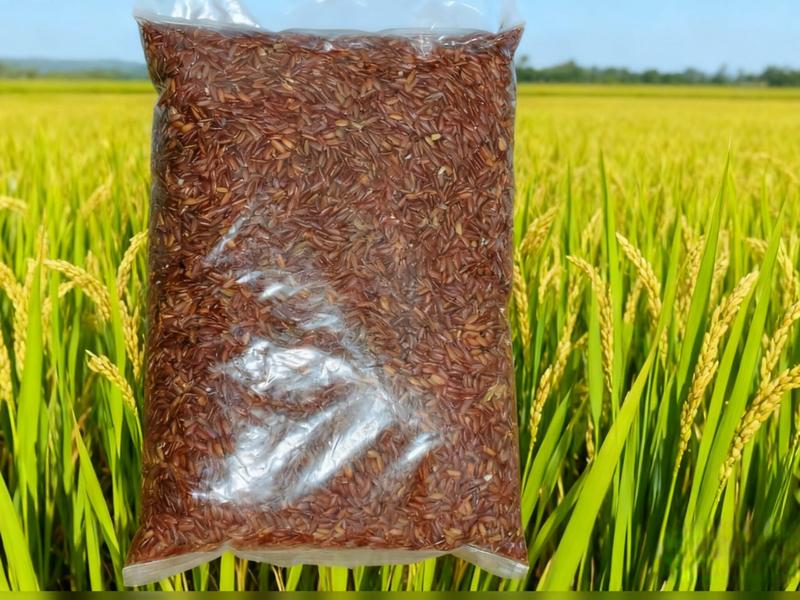 Beras Merah Super Premium 1 Kg – Sehat, Tinggi Serat, Rendah Gula ...