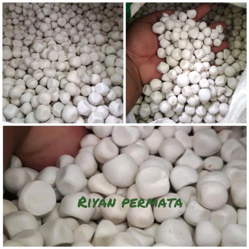 Batu mus tika tidar keras batunya - Shop | Tokopedia