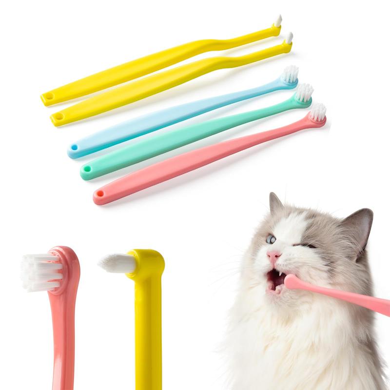 Small cat toothbrush store