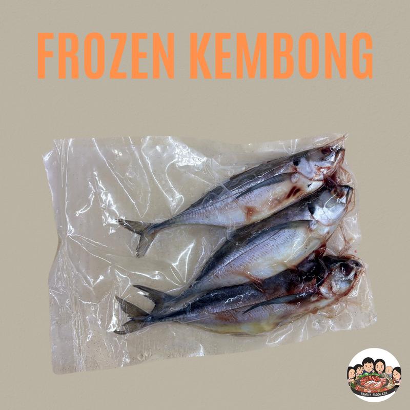 Frozen Kembong 400g+-/Frozen Fillet Mackerel 500g+-/ Frozen Fillet ...