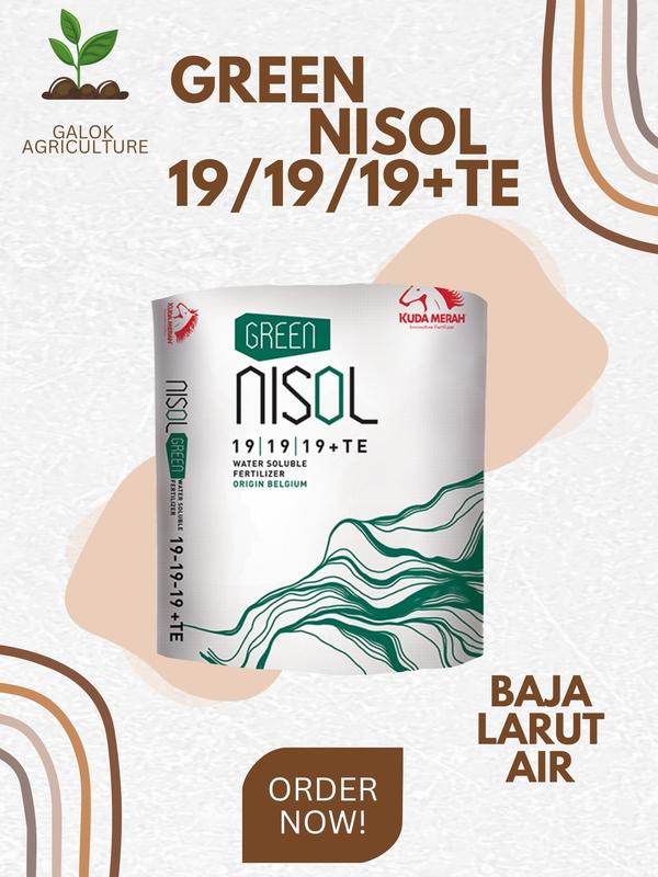 (1kg/2kg) NISOL GREEN 19/19/19+TE WATER SOLUBLE FERTILIZER BAJA ...