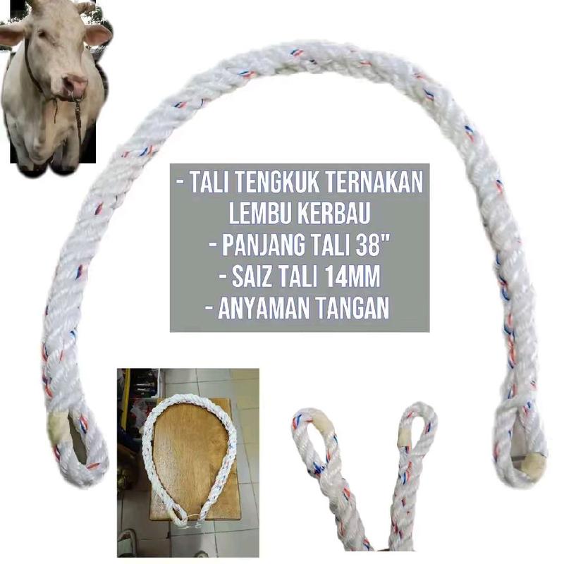 TALI LEHER LEMBU AKSESORI HAIWAN TERNAKAN [ PANJANG 38 INCI ] - TikTok ...