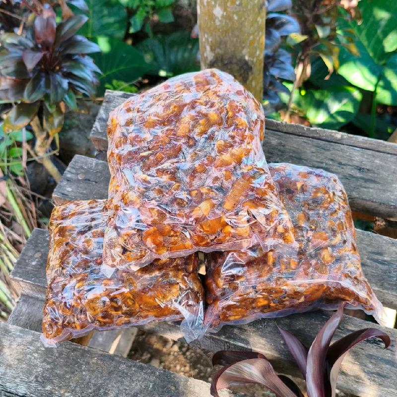 ASAM JAWA segar fress masih ada bijinya - Shop | Tokopedia