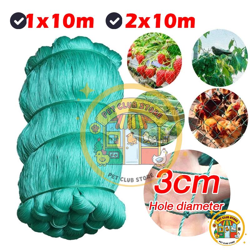 10M Chicken Net Range Net for Chicken Lambat Outdoor Poultry - TikTok ...