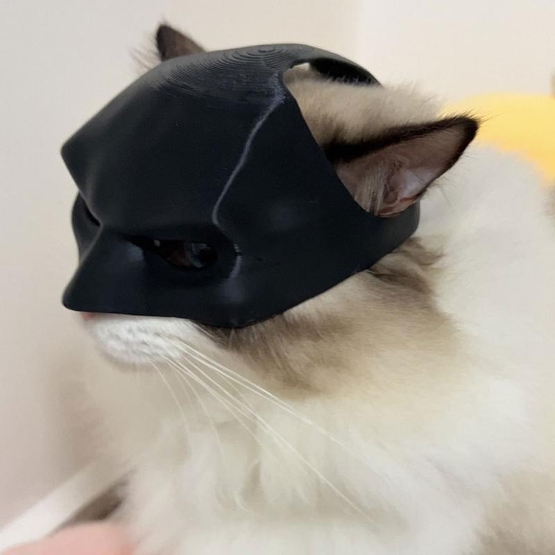 Topeng Avenger Kucing Kelawar, Kusyen Muka Kucing, Topi Cosplay ...