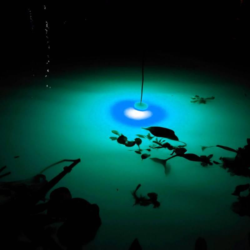 Fish Attraction Lamp Lure LED Flashing Fishing Light Underwater ...