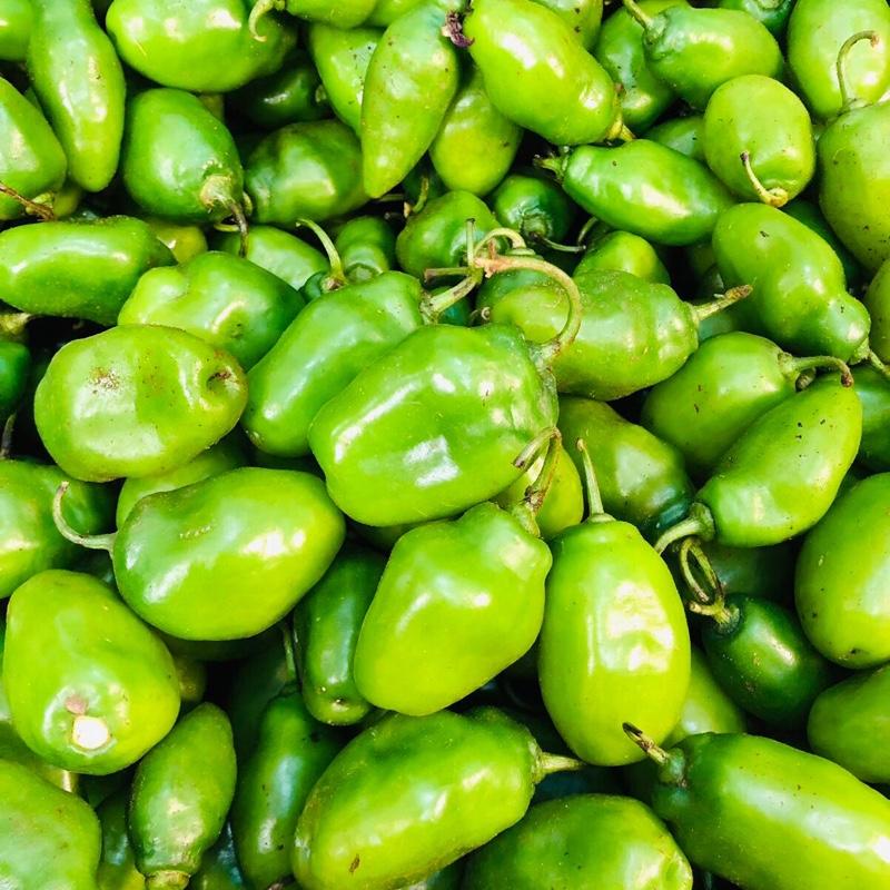 CABE GENDOT FRESH 250gr 500gr 1kilo dari bandung - Shop | Tokopedia