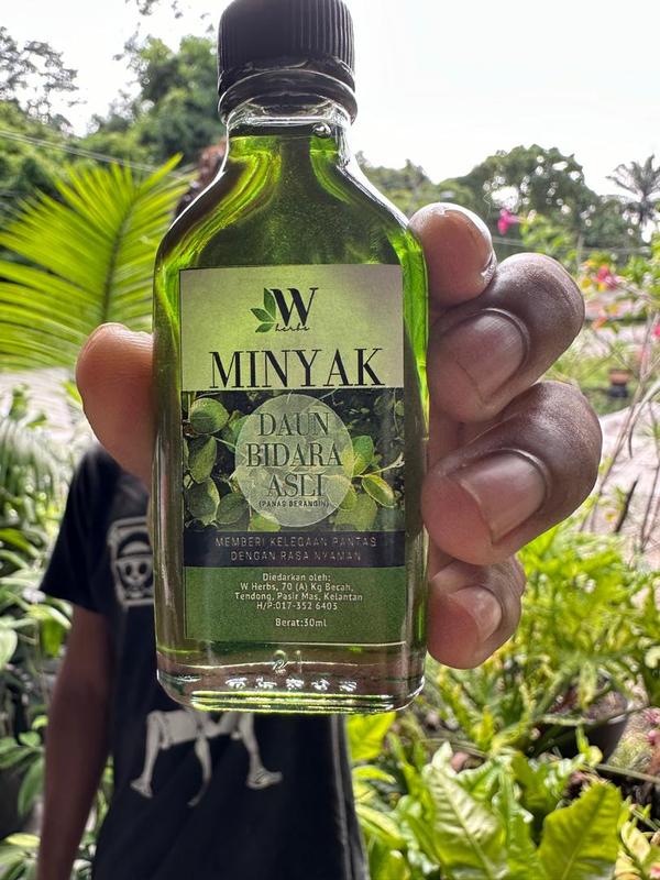 Minyak Daun Bidara Asli Panas Massage Oil Minyak Urut Angin - TikTok ...