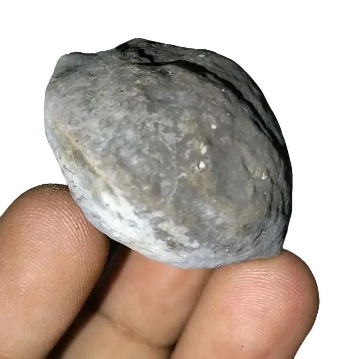 muncang aduan Jayanti Jawa semar - Shop | Tokopedia