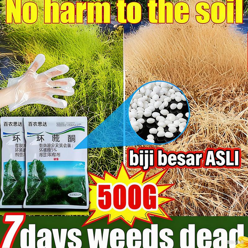 Malay spot Alion Arcun Rumput Parakuta Weeding 500G Racun Rumput ...