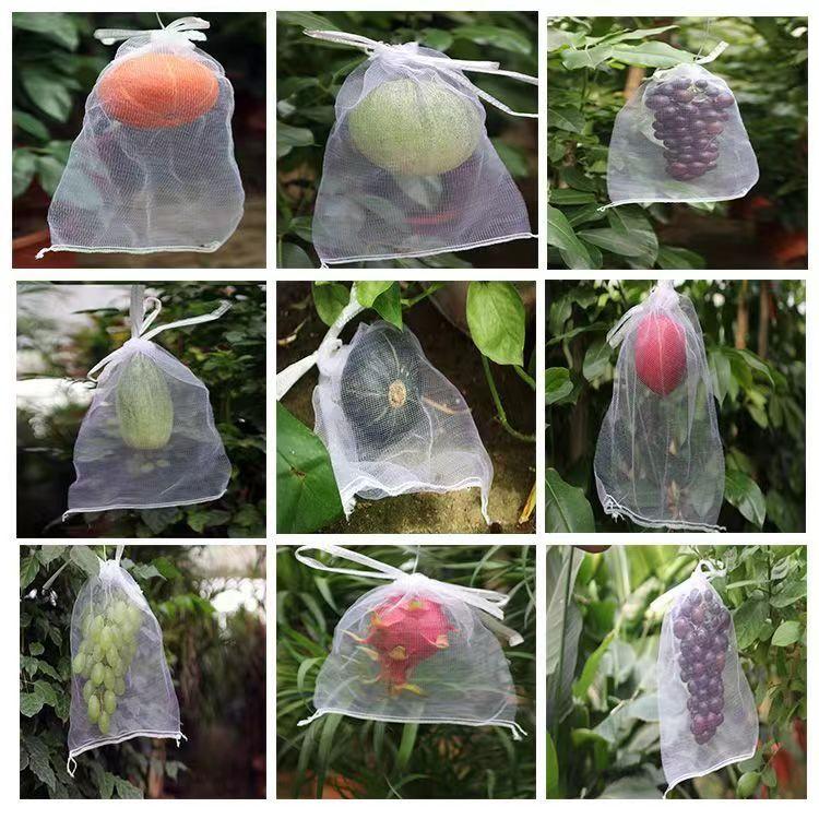 Bayar selepas barang tiba 10x15 cm/100pcs Fruit Protection Bag - TikTok ...